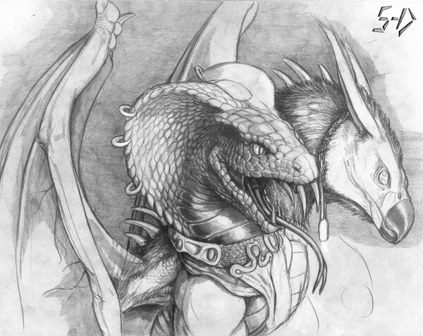 Favorites Gallery For Otherside Dragons Fur Affinity [dot] Net