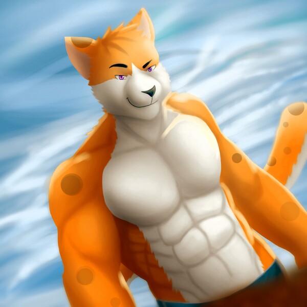 Artwork Gallery For Darkwolf1995 Fur Affinity [dot] Net