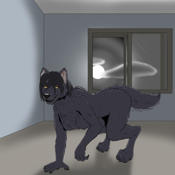 Favorites Gallery For Perfectduwang Fur Affinity [dot] Net