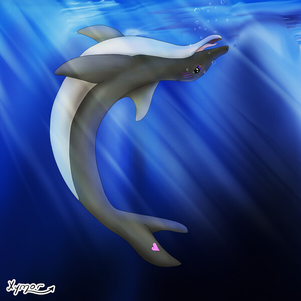 Happy Dolphin by Xymor -- Fur Affinity [dot] net